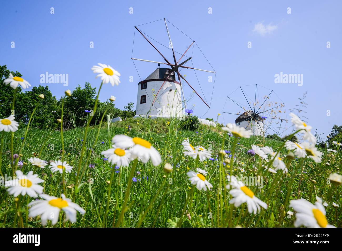 Gifhorn, Germany. 26th May, 2023. Mills stand in the International Mill ...