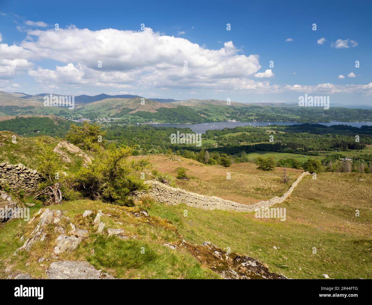 Lake Windermere from Black Fell, Lake District, UK Stock Photo - Alamy