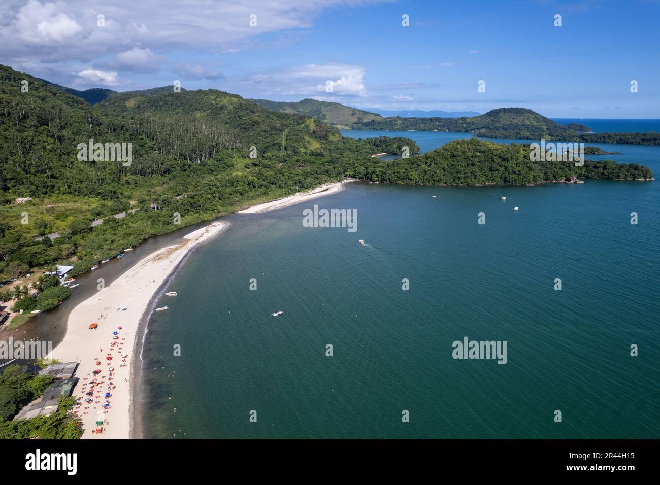 Aerial drone view of beautiful beach and forest trees of mata atlantica ...