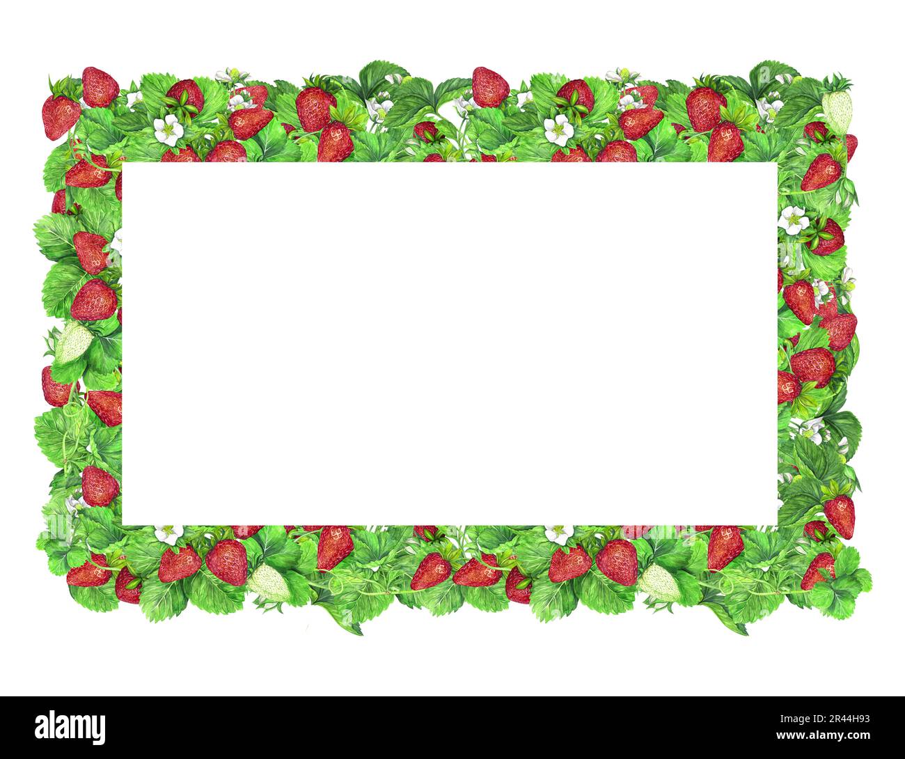 Frame banner from bushes of ripe strawberries with green leaves and ...
