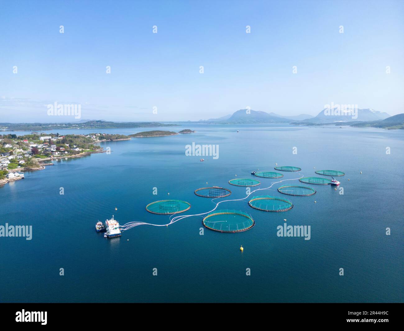 Aukra 20230522.Salmon, Rainbow Trout and Trout in aquaculture ...