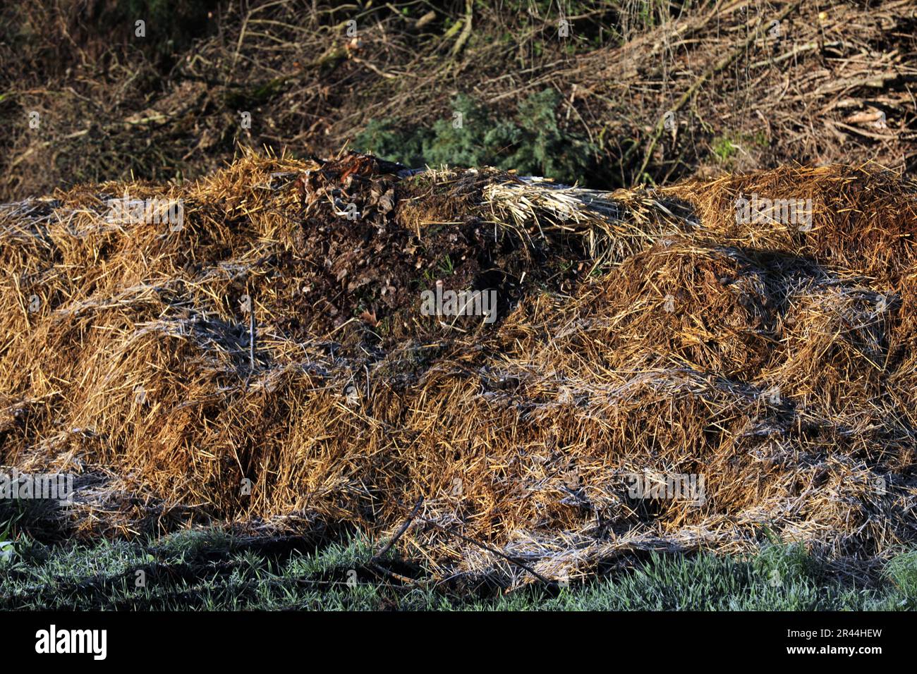 Manure dung heap Horse droppings in a field Stock Photo - Alamy