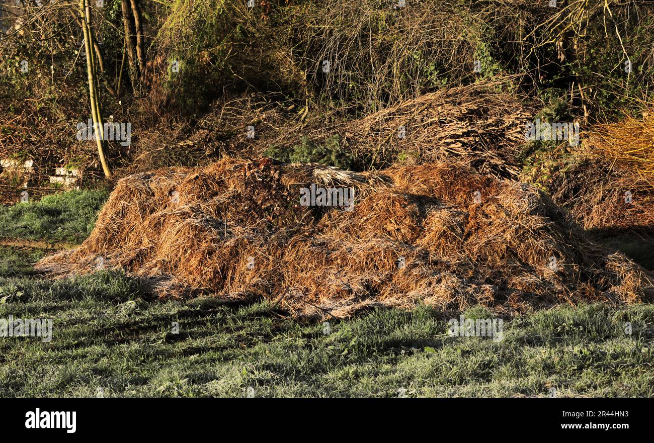 Manure dung heap Horse droppings in a field Stock Photo - Alamy