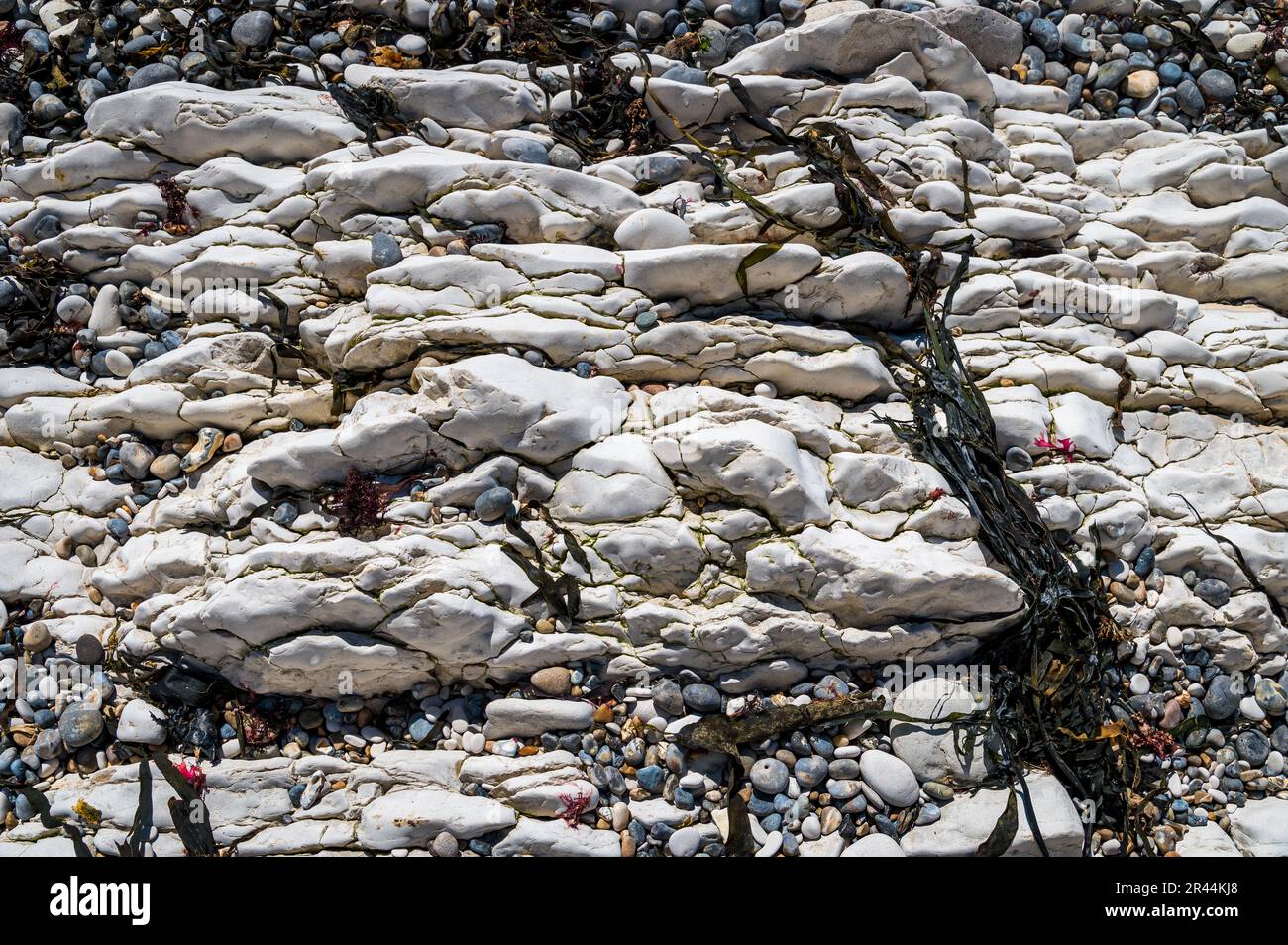 Pebbles and chalk rocks on a beach in Dorset for wall art Stock Photo ...