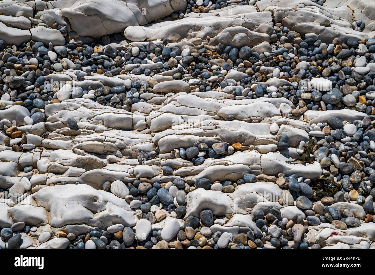 Pebbles and chalk rocks on a beach in Dorset for wall art Stock Photo ...