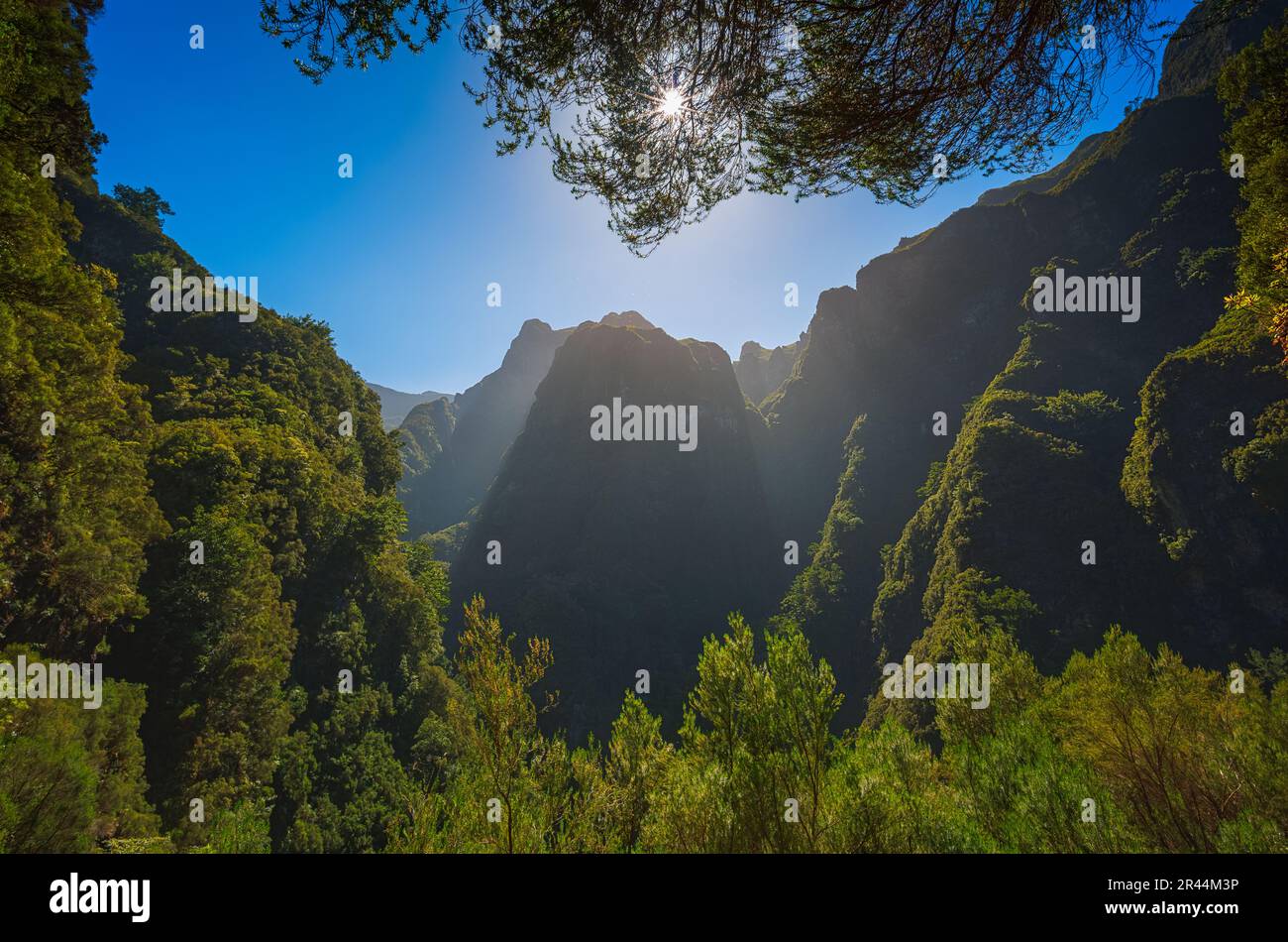 Landscape of Madeira natural green landscape in the mountains Stock ...