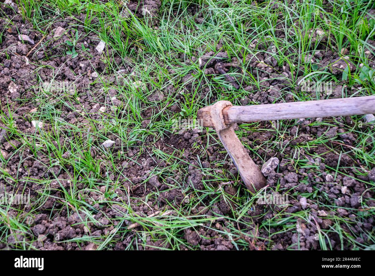 Image of hoe in field to cultivate with grass and fertile soil Stock ...
