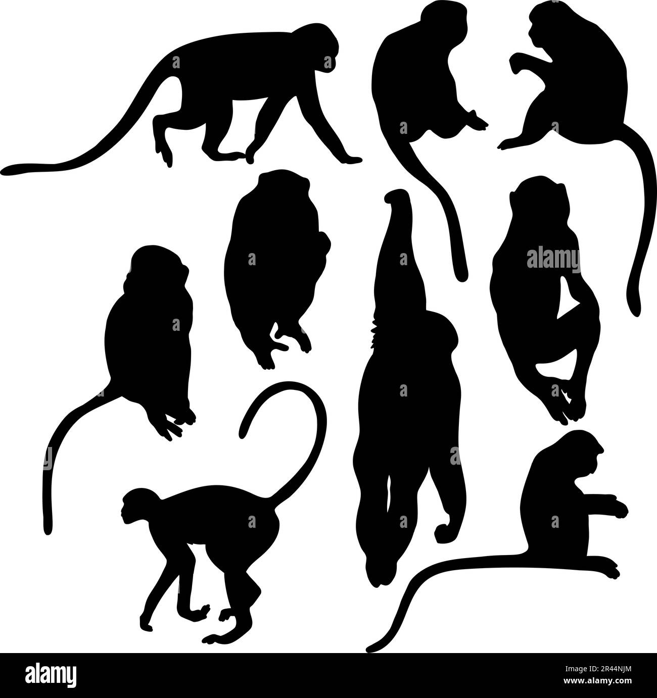 Collection silhouettes monkey. Vector illustration. Isolated primates ...
