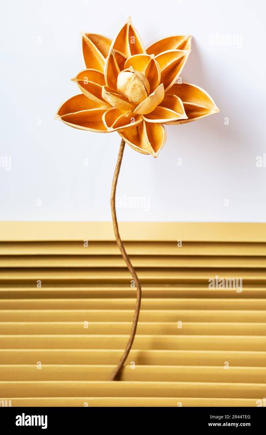 Dried lotus flower crafting from fruits shell. DIY home decorating ...