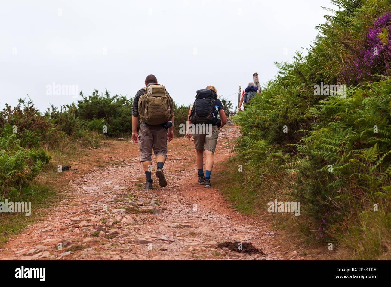 Couple of pilgrims walking along the Way of St James called Camino de ...