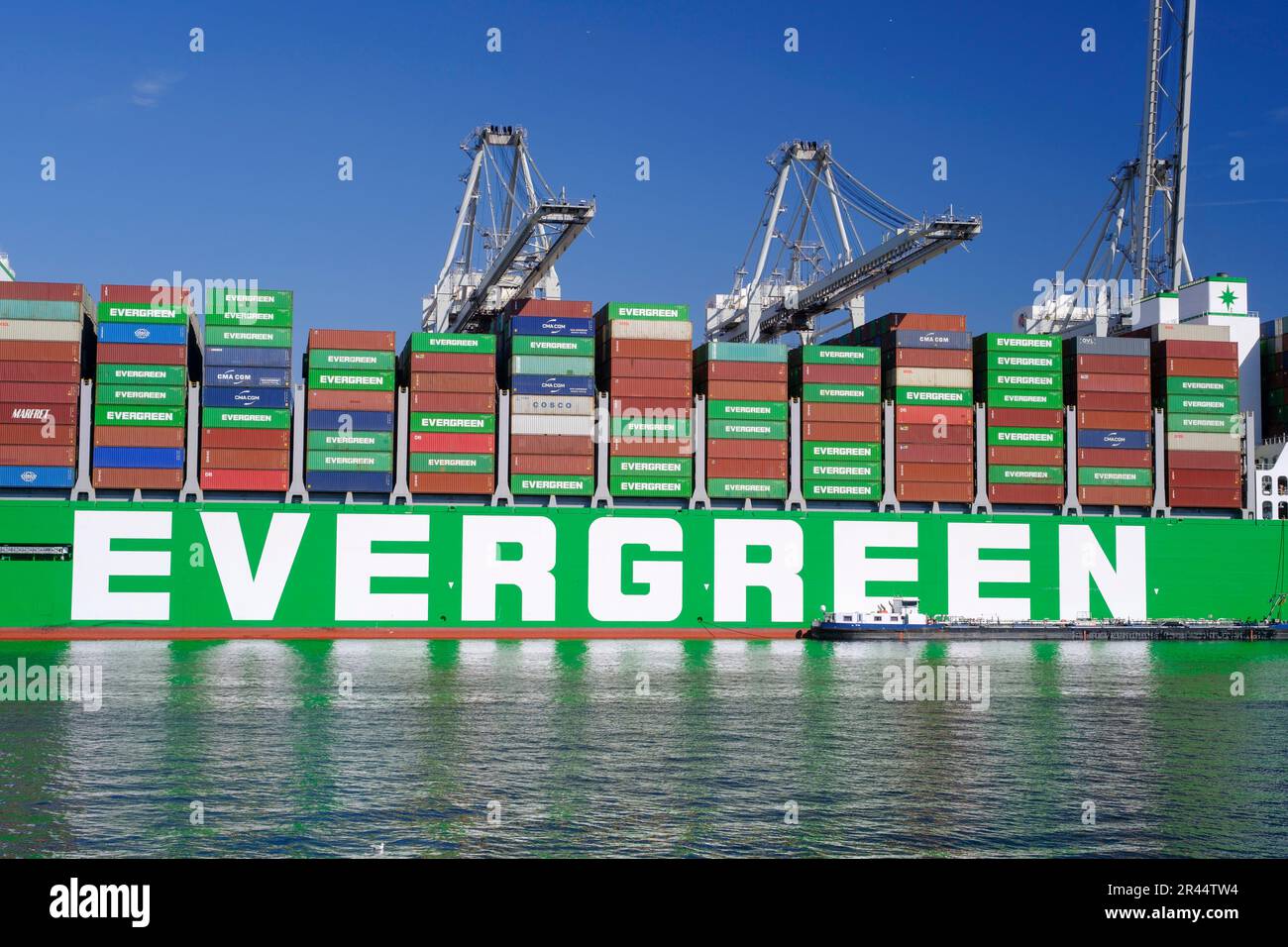 Netherlands, Rotterdam: Evergreen’s container ship Ever Alot docked in ...
