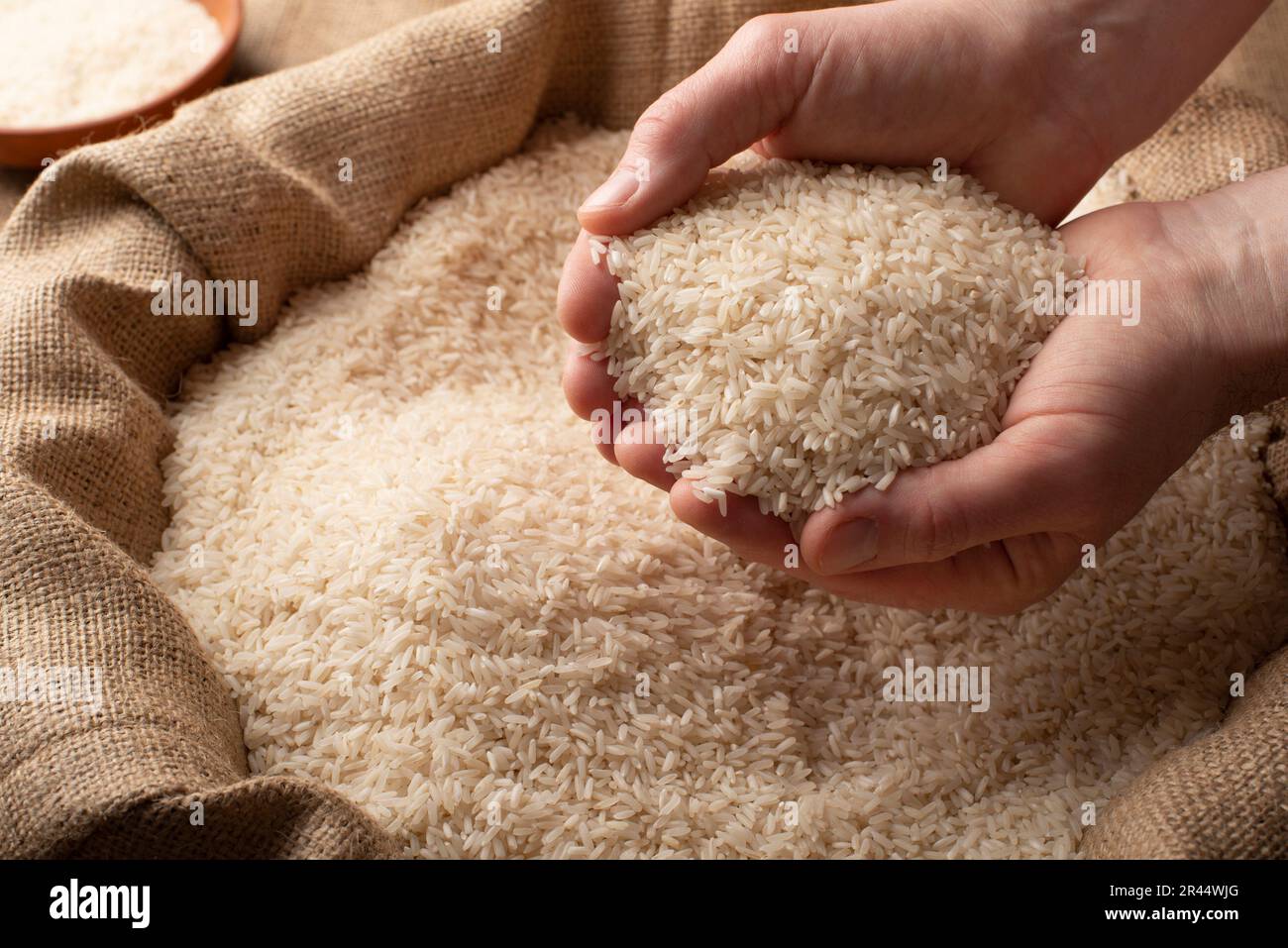 Human hands holding handful of rice over burlap sack Stock Photo - Alamy