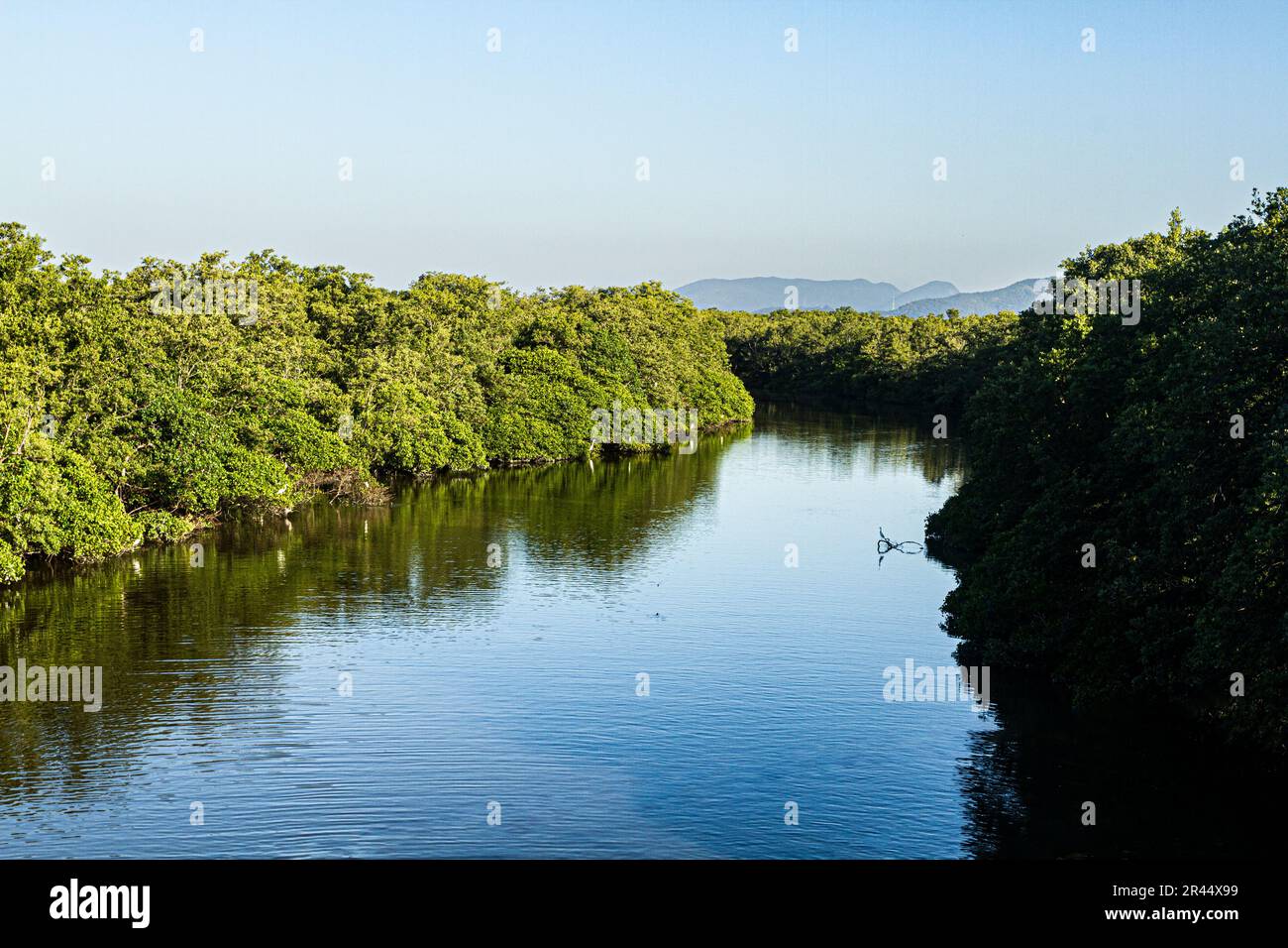 Tavares river hi-res stock photography and images - Alamy