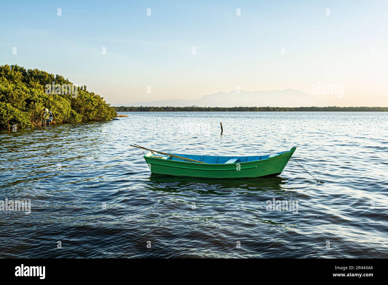 Extrative reserve hi-res stock photography and images - Alamy