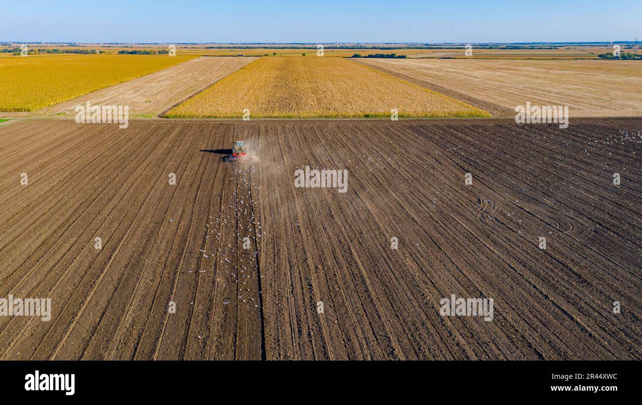 Above view, tractor pull disc harrow, harrowing farmland, preparing ...