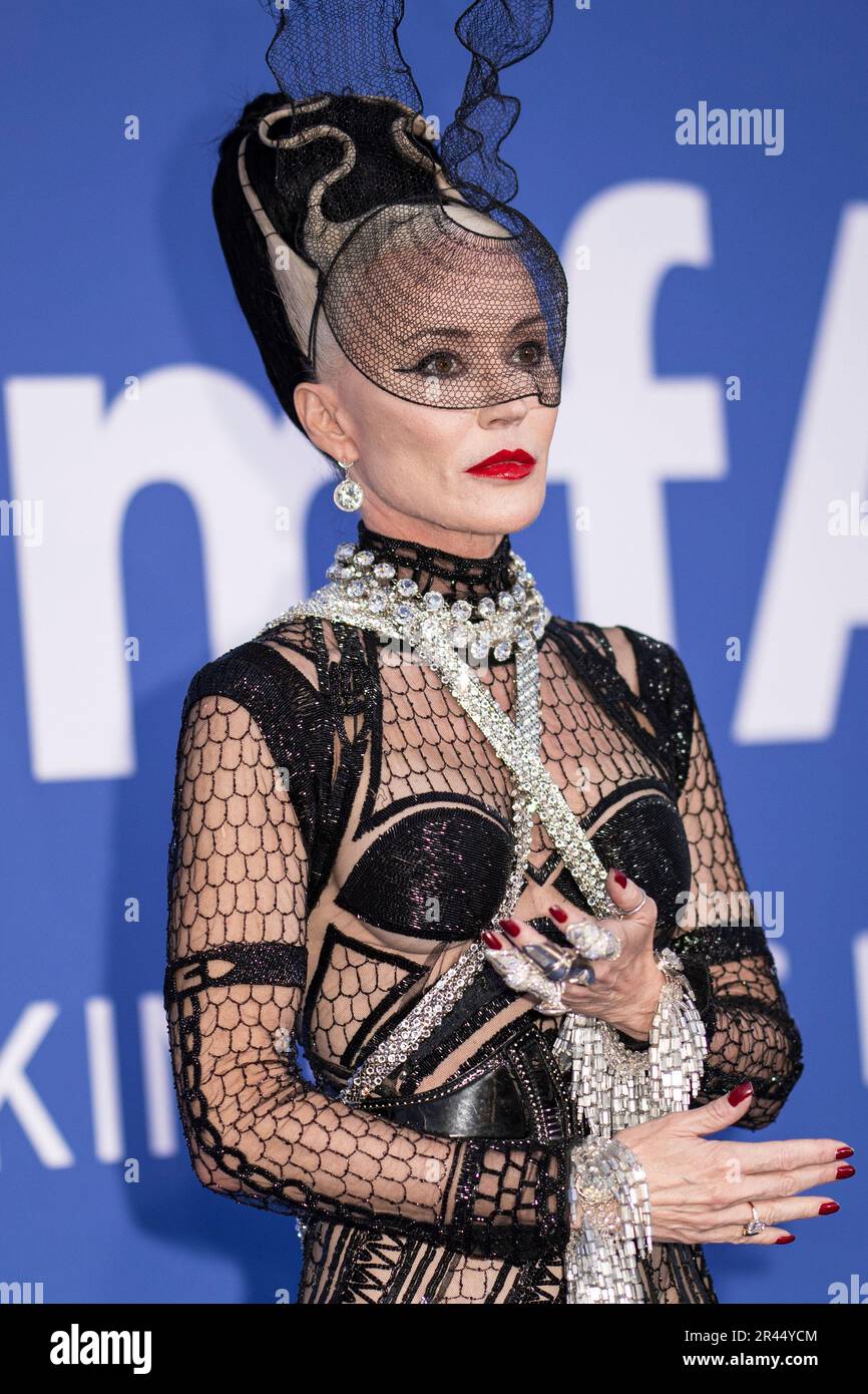 Daphne Guinness poses for photographers upon arrival at the amfAR ...