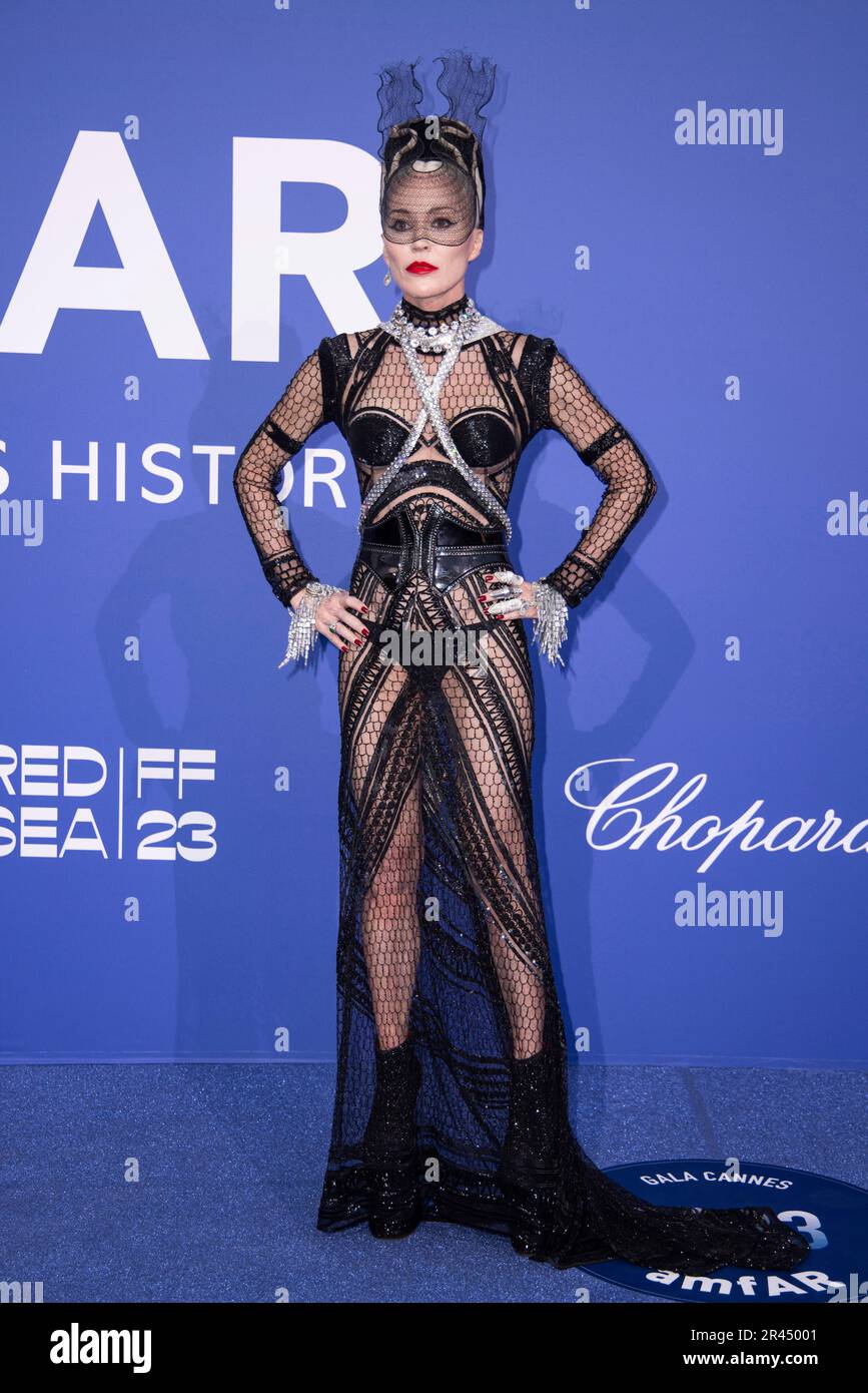Daphne Guinness poses for photographers upon arrival at the amfAR ...