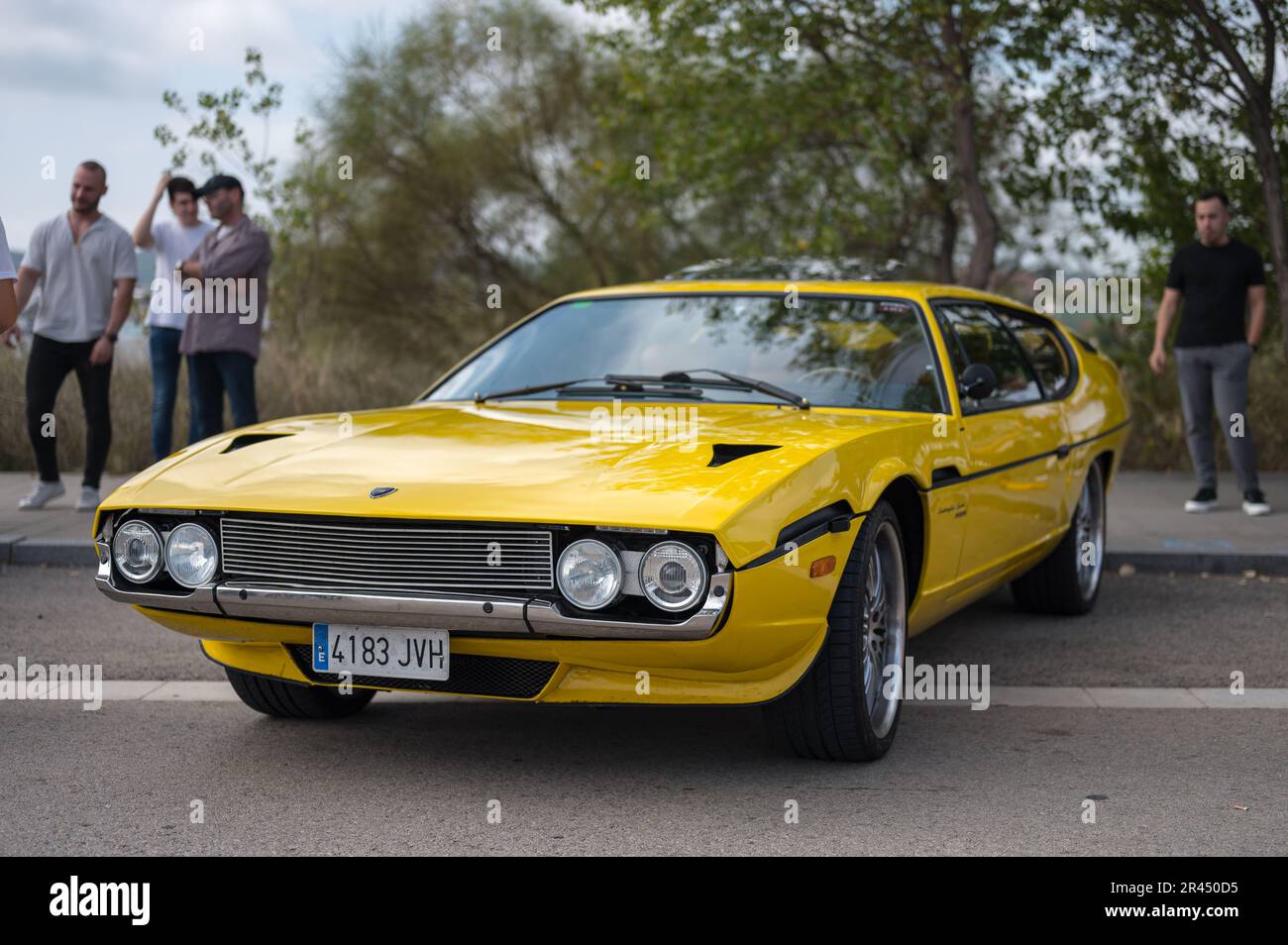 Front view of a classic Italian luxury sports car, Lamborghini Espada ...