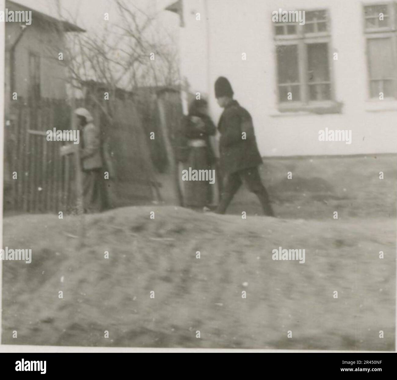 Gunter Alquen (Leibstandarte Adolf Hitler, Greece 1941), an SS ...