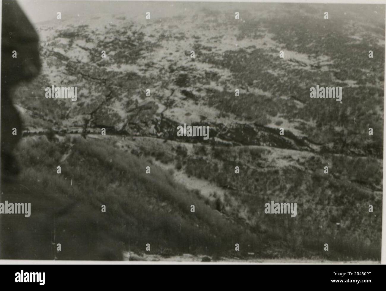 Gunter Alquen (Leibstandarte Adolf Hitler, Greece 1941), an SS ...