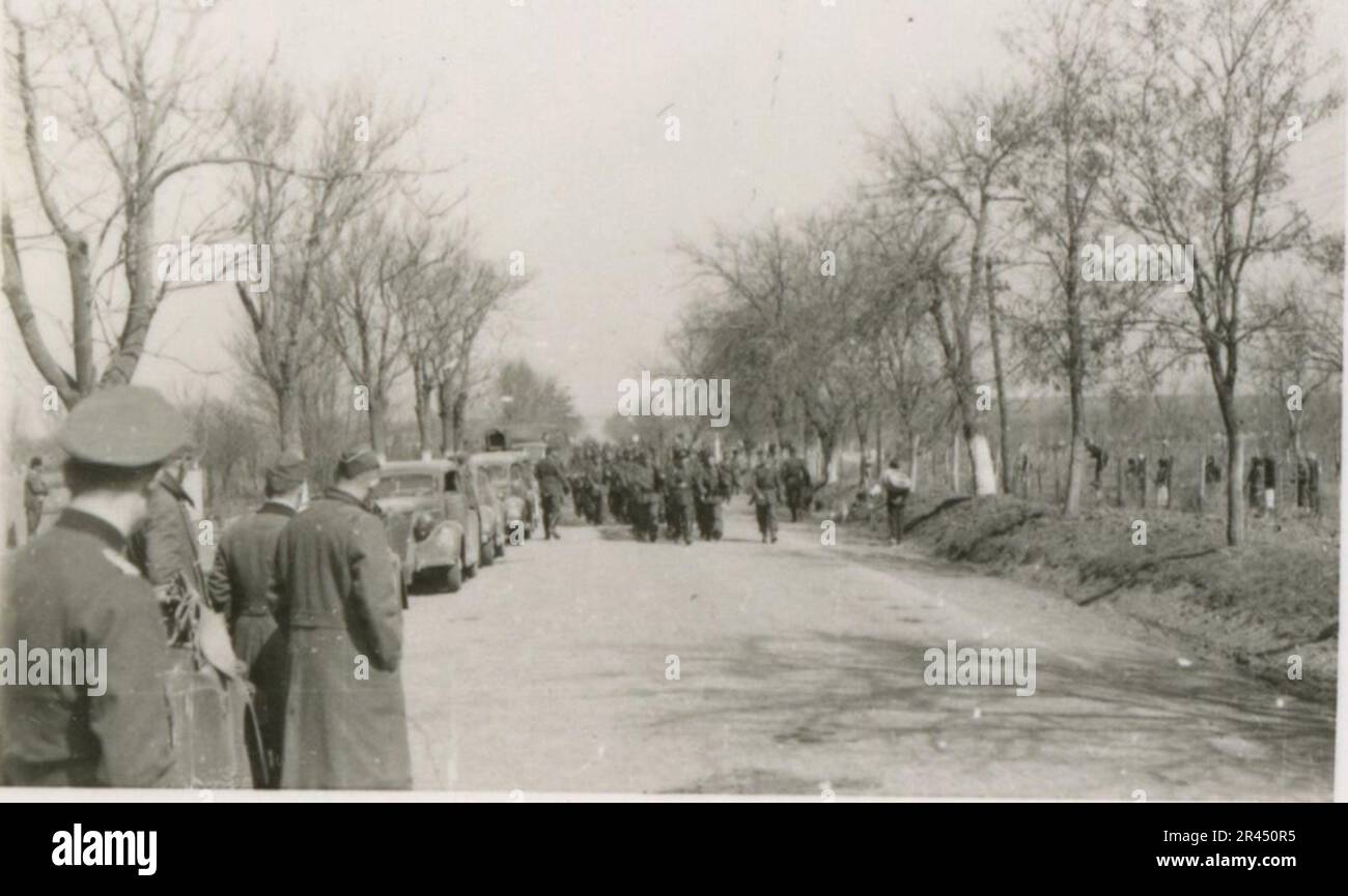Gunter Alquen (Leibstandarte Adolf Hitler, Greece 1941), an SS ...