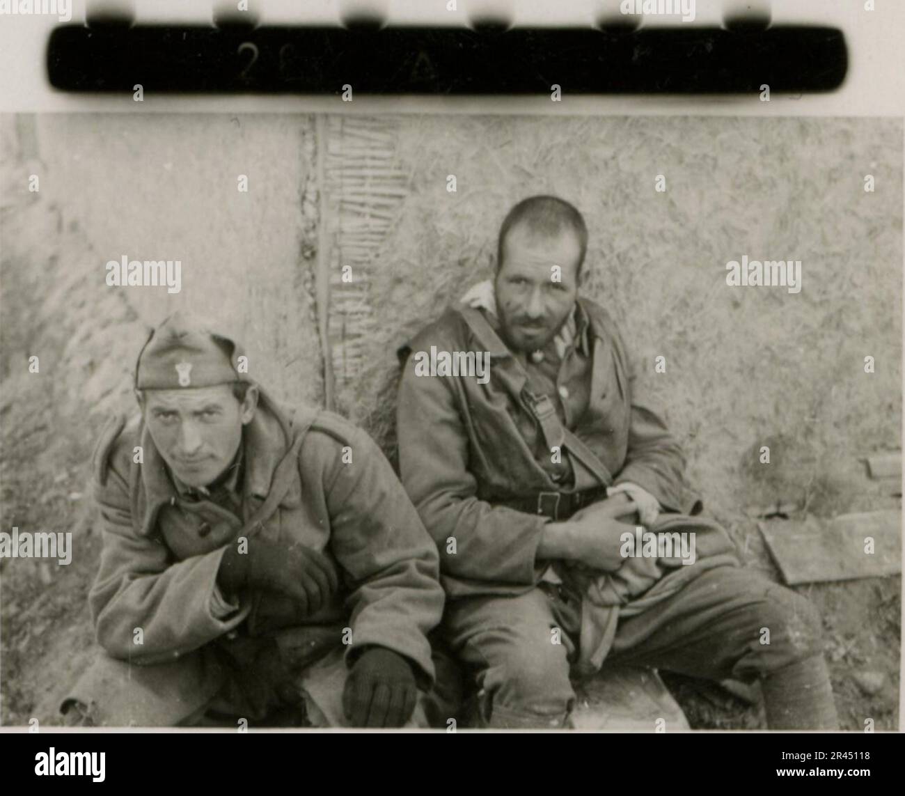 Gunter Alquen (Leibstandarte Adolf Hitler, Greece 1941), an SS ...