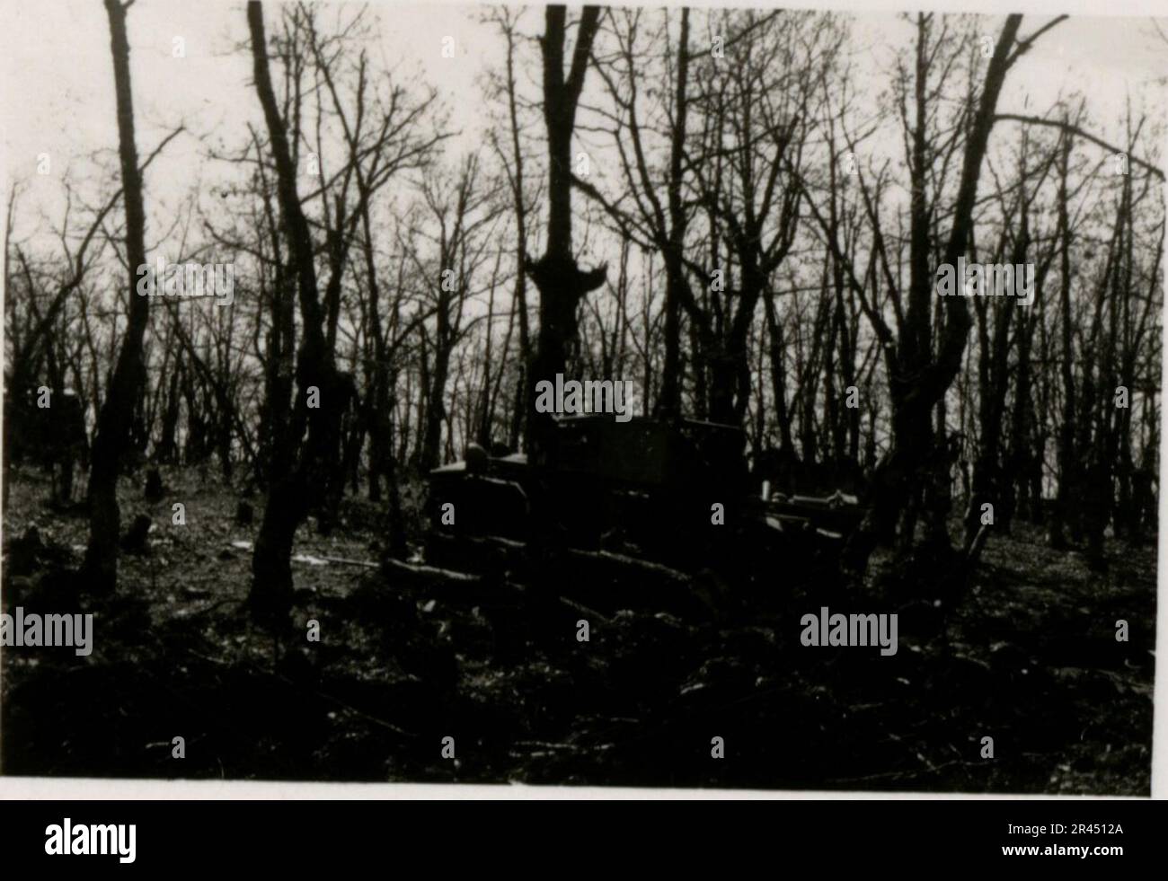 Gunter Alquen (Leibstandarte Adolf Hitler, Greece 1941), an SS ...