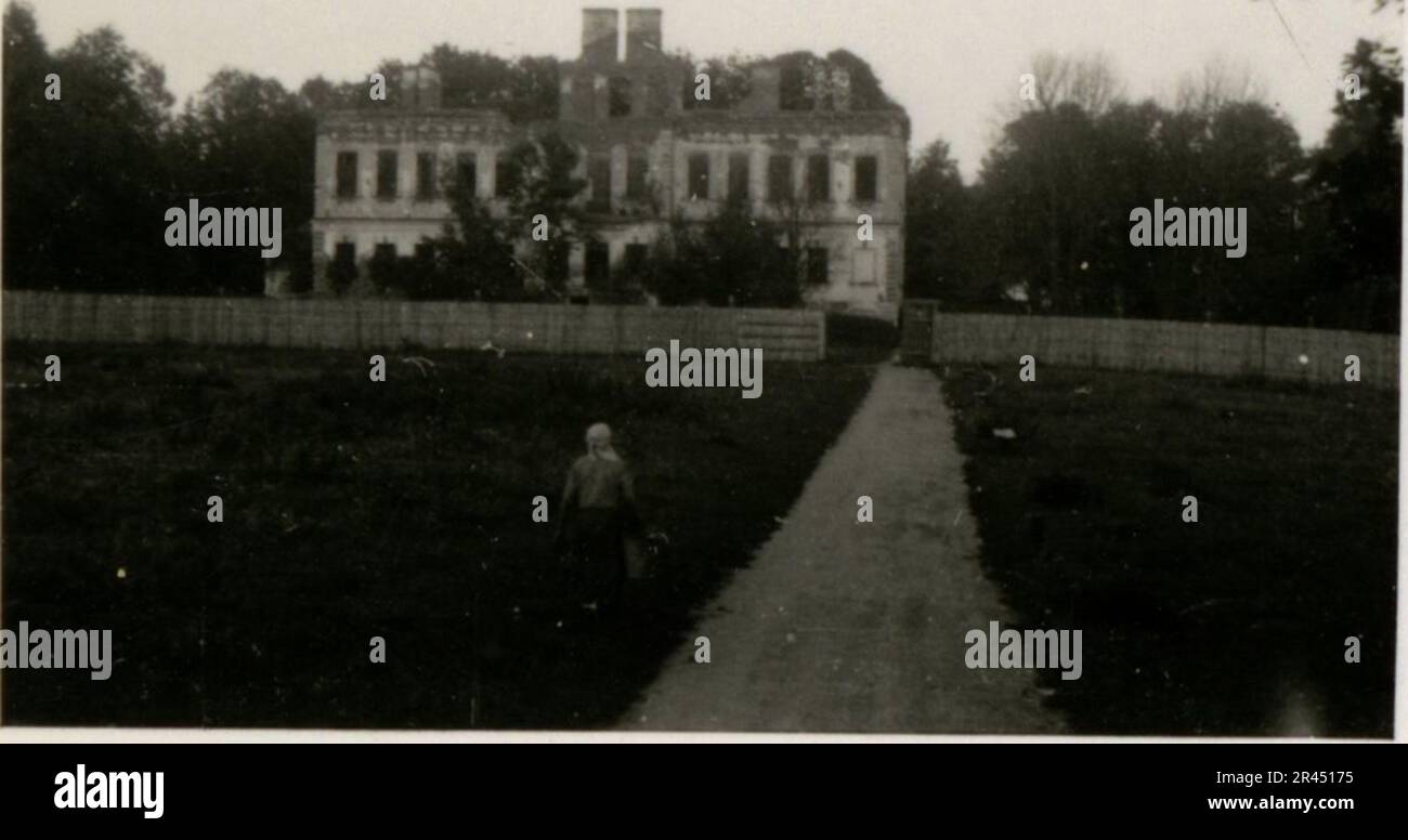 Gunter Alquen (Leibstandarte Adolf Hitler, Greece 1941), an SS ...