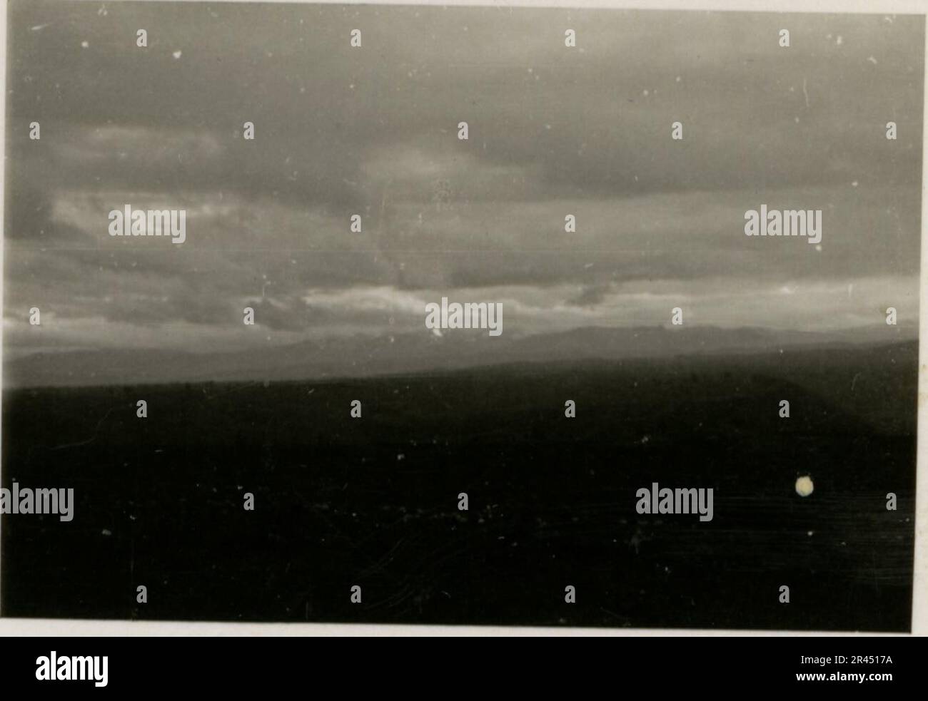 Gunter Alquen (Leibstandarte Adolf Hitler, Greece 1941), an SS ...