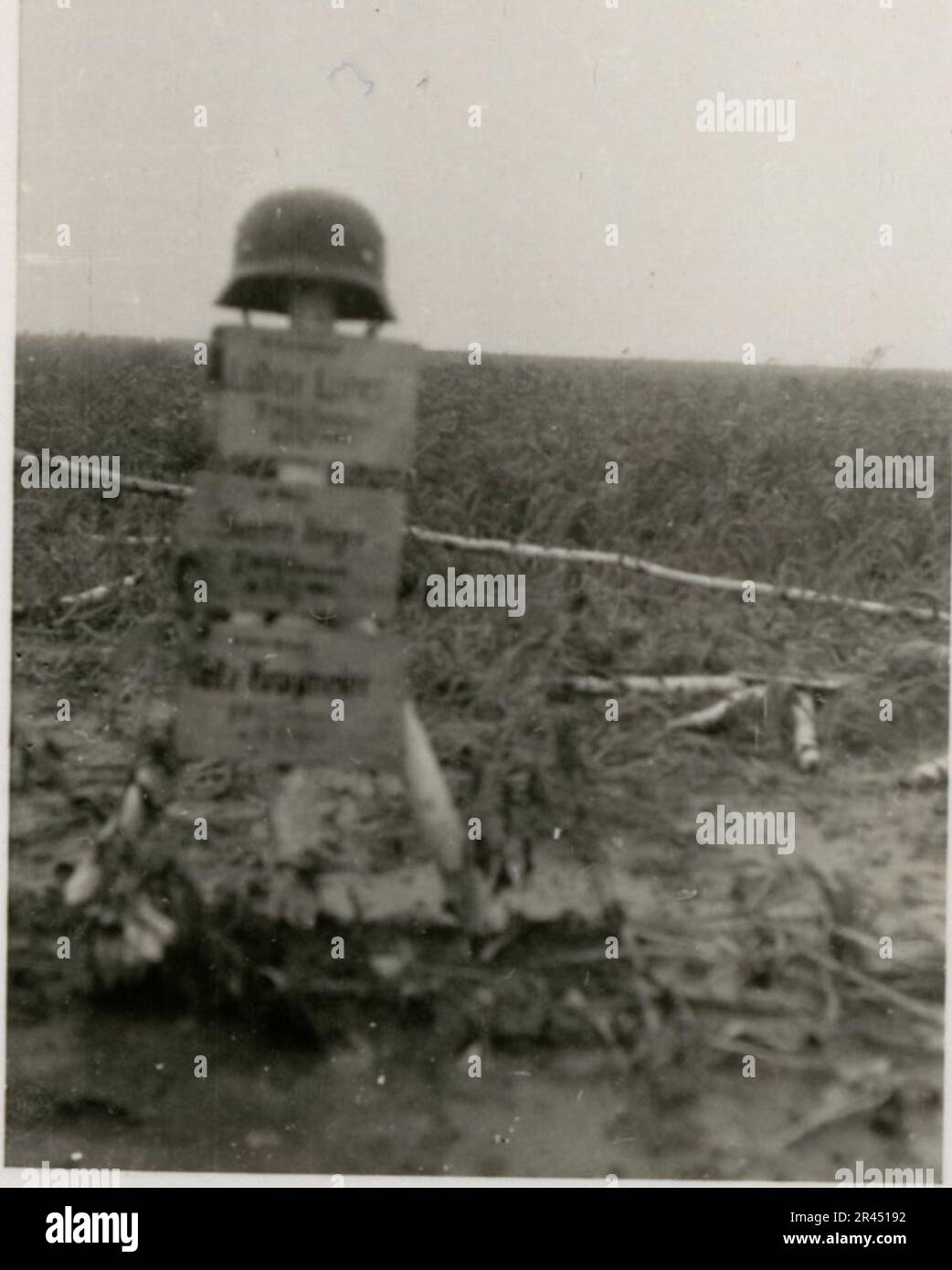 Gunter Alquen (Leibstandarte Adolf Hitler, Greece 1941), an SS ...