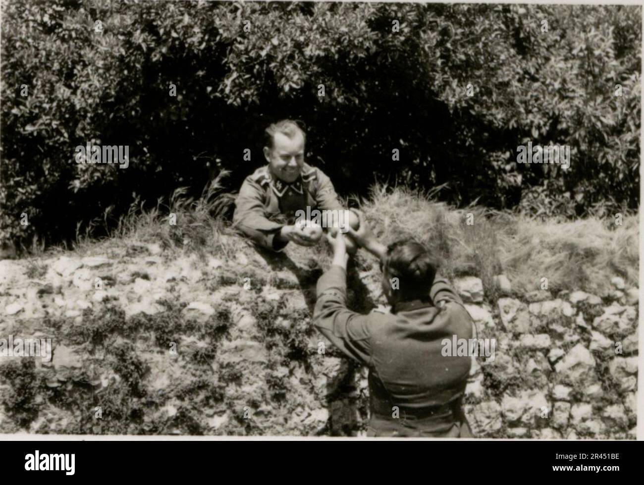 Gunter Alquen (Leibstandarte Adolf Hitler, Greece 1941), an SS ...