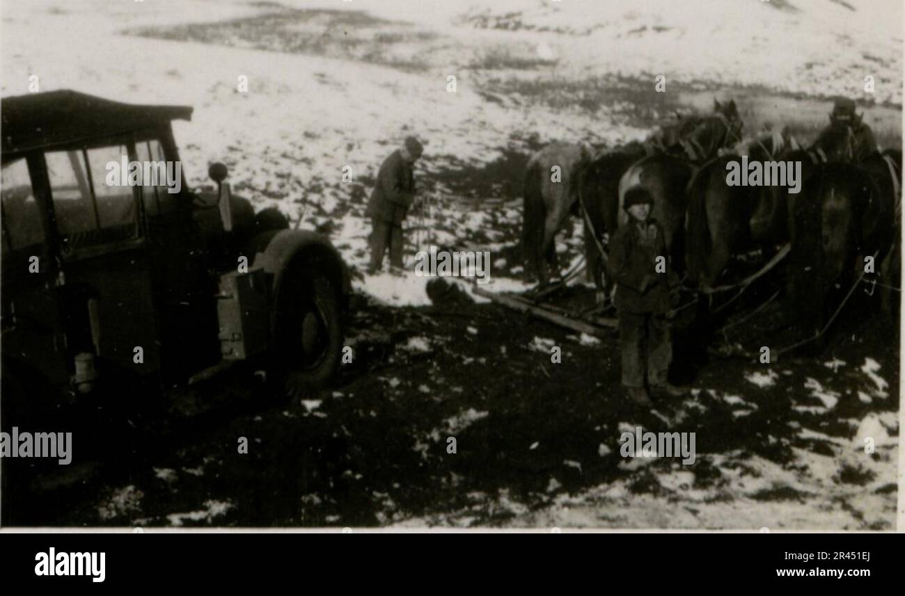 Gunter Alquen (Leibstandarte Adolf Hitler, Greece 1941), an SS ...