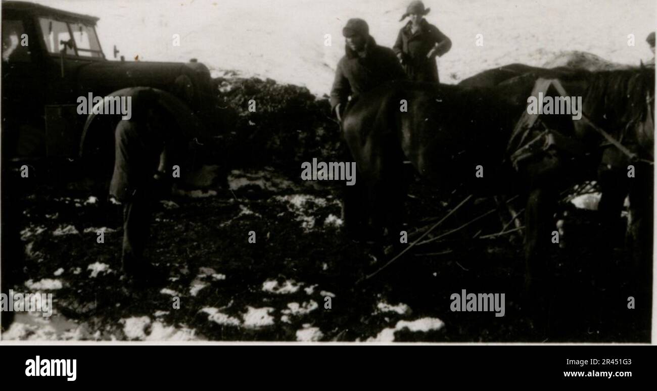 Gunter Alquen (Leibstandarte Adolf Hitler, Greece 1941), an SS ...