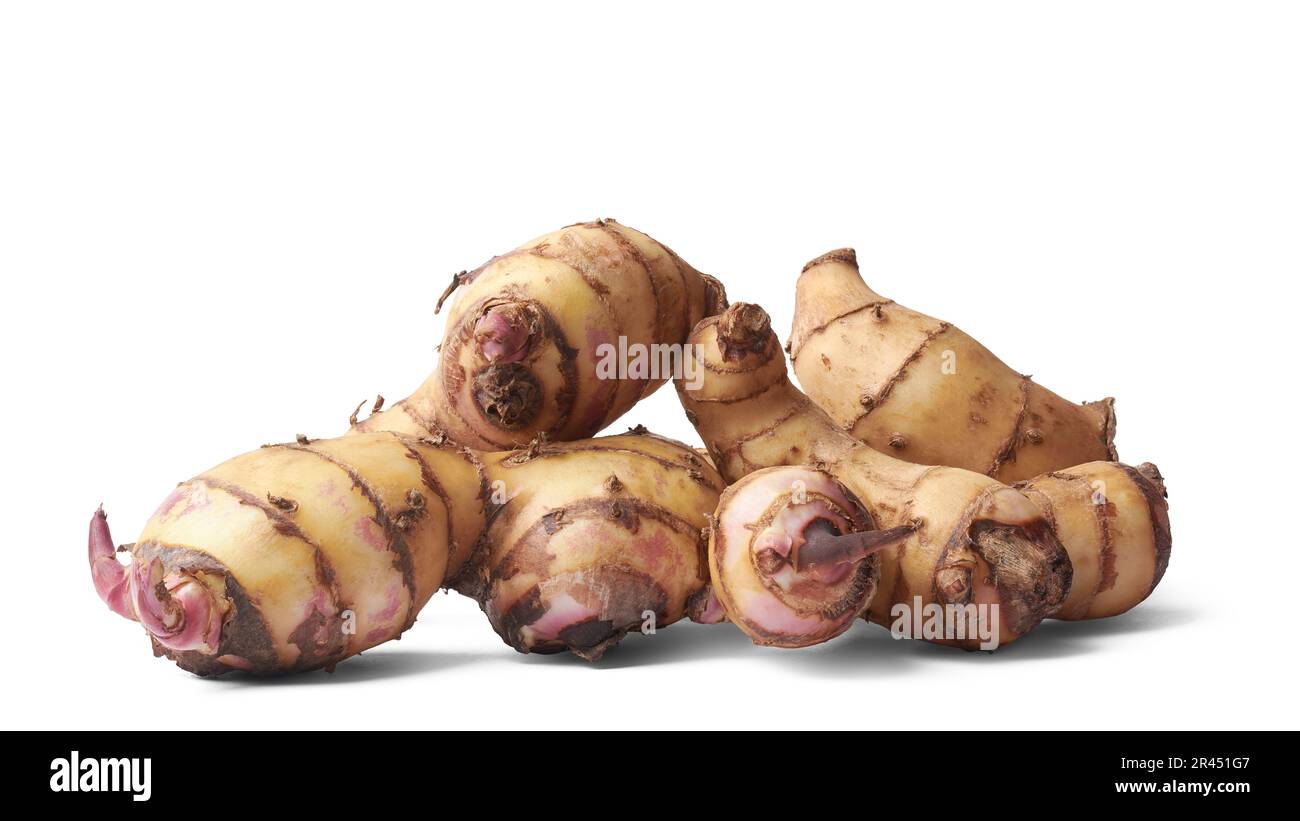 Indian shot canna plant Cut Out Stock Images & Pictures - Alamy