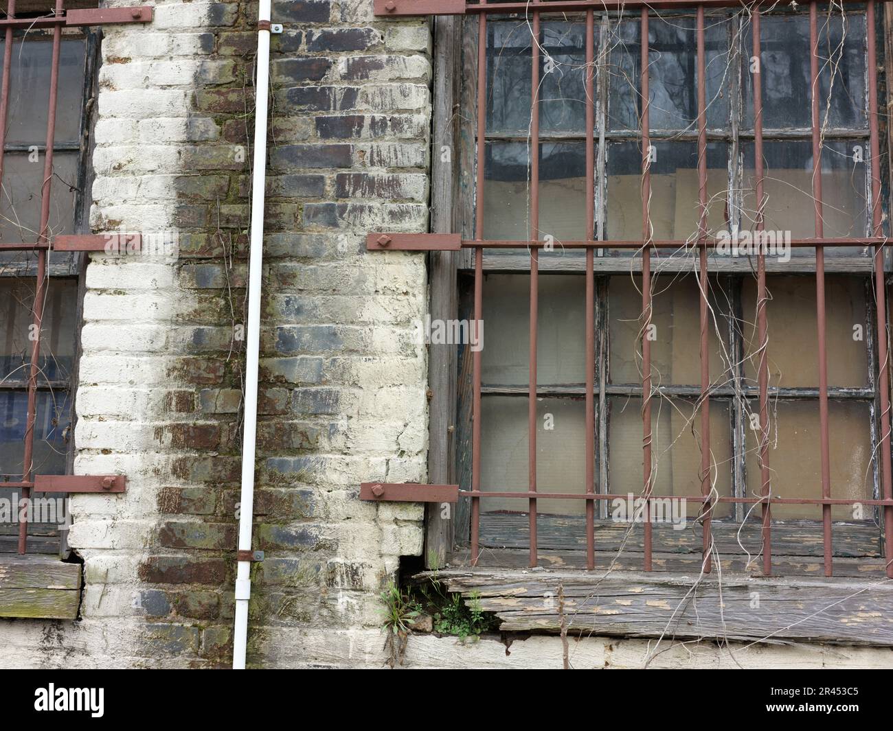 An aged, metal window frame is featured in this image, with its ...