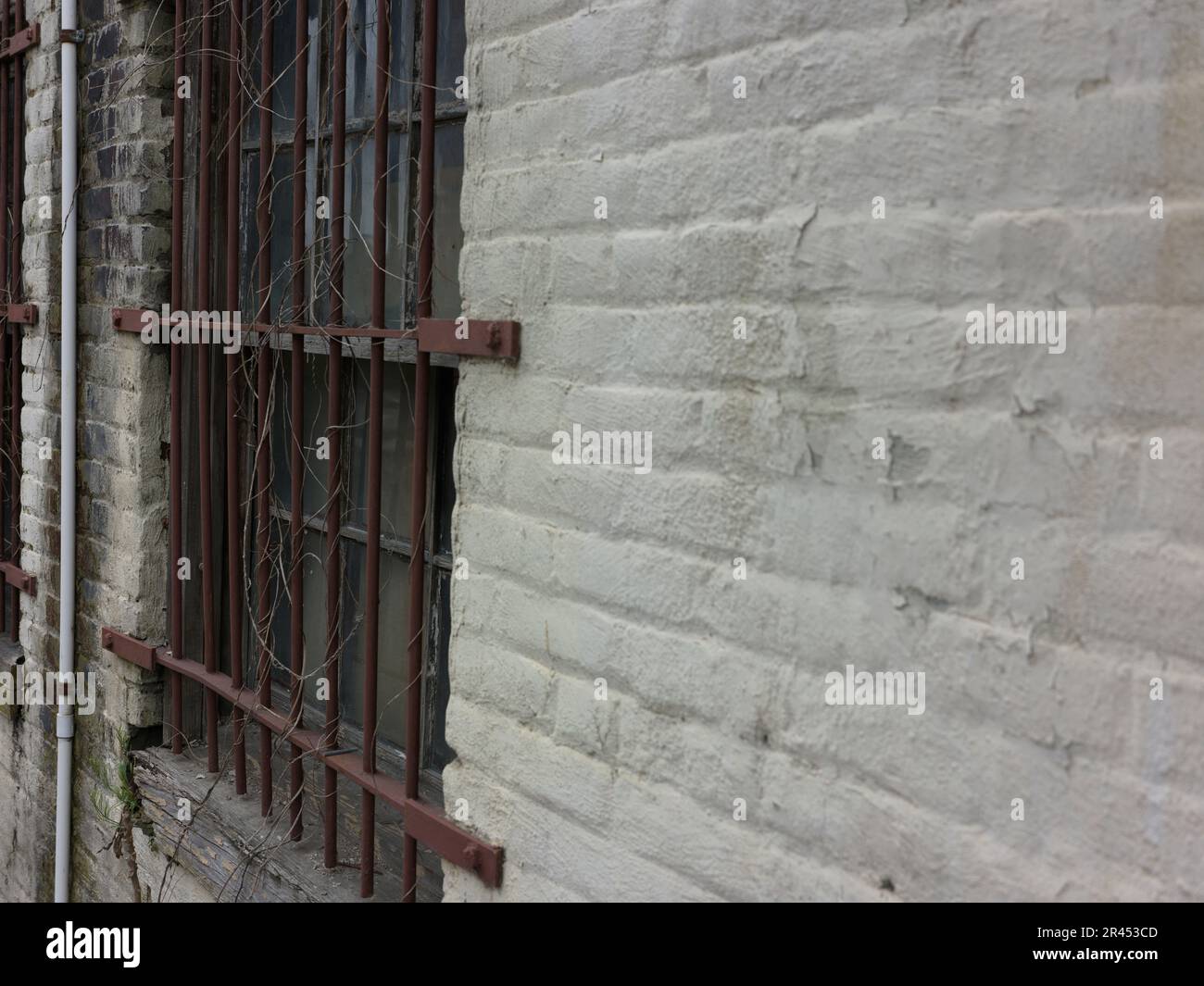 An aged, metal window frame is featured in this image, with its ...