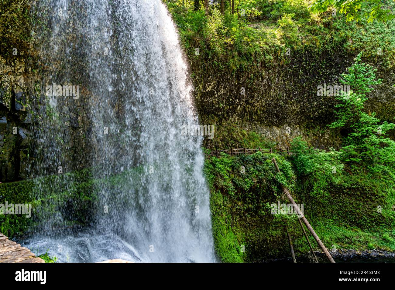 A landscape shot of Lower South Falls at Silver Falls State Park in ...