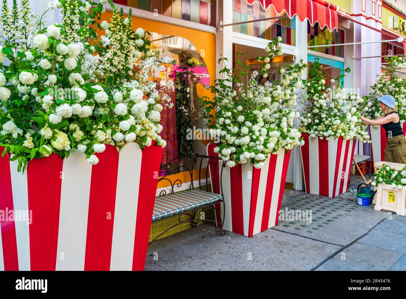 LONDON, UK - MAY 24, 2023: A spectacular floral display for Chelsea in ...