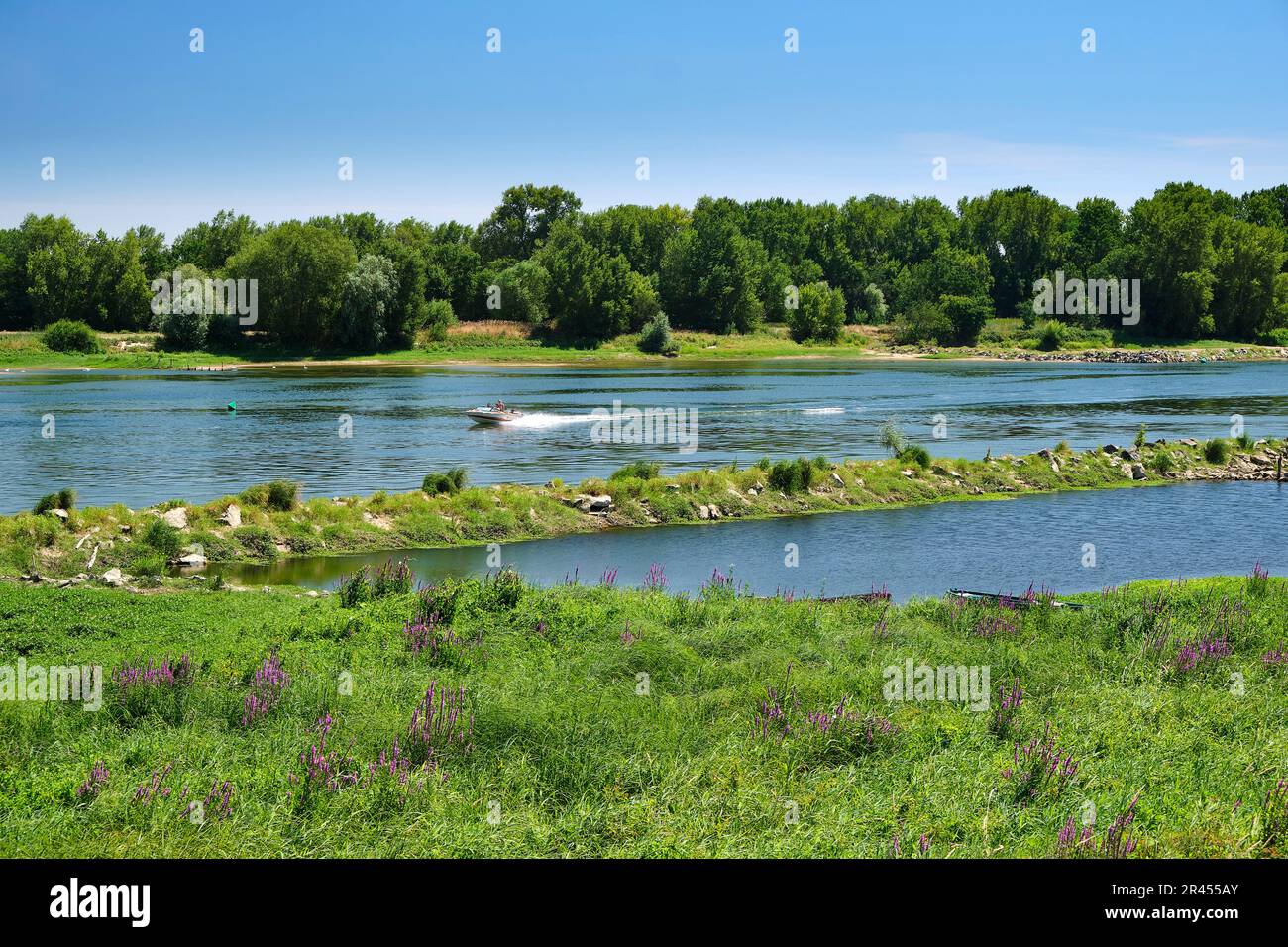 Bouchemaine (north-western France): banks of the River Loire and beach ...