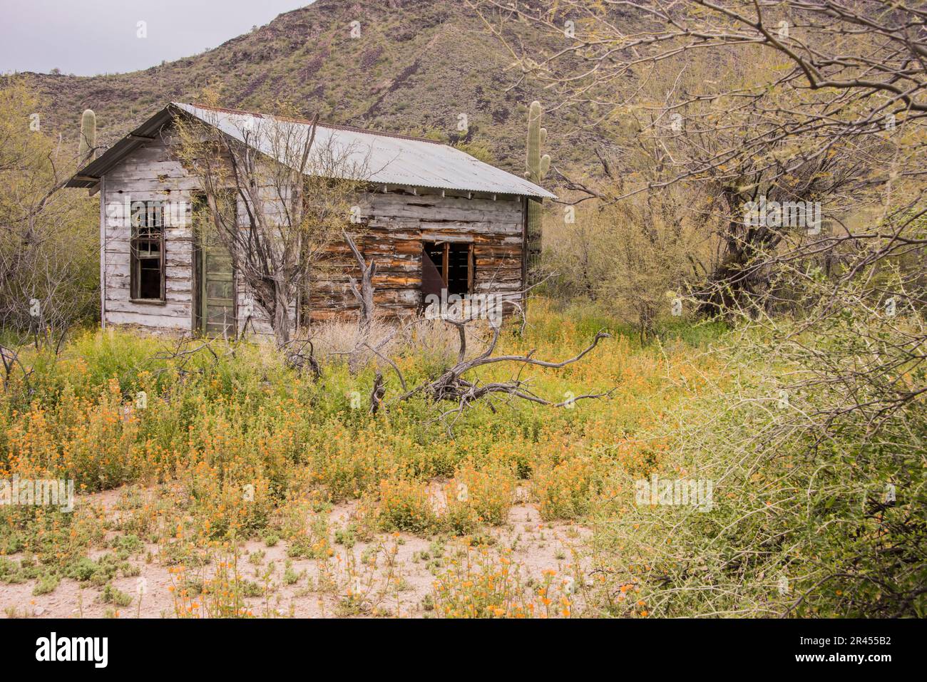 Historic Bates Well and Ranch in Sonoran Desert, Organ Pipe Cactus ...