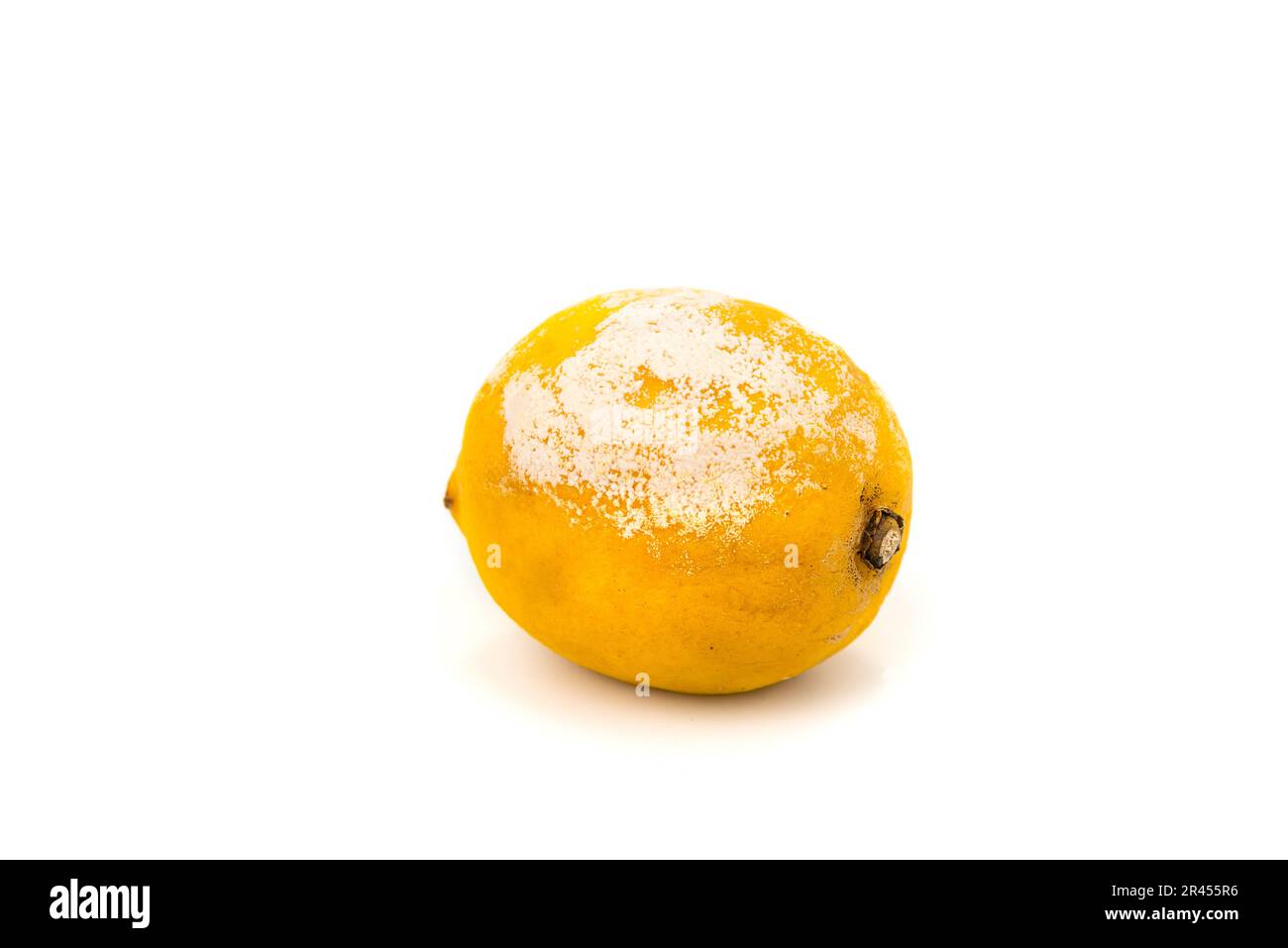 Rotten lemon with a mold on a white background Stock Photo - Alamy
