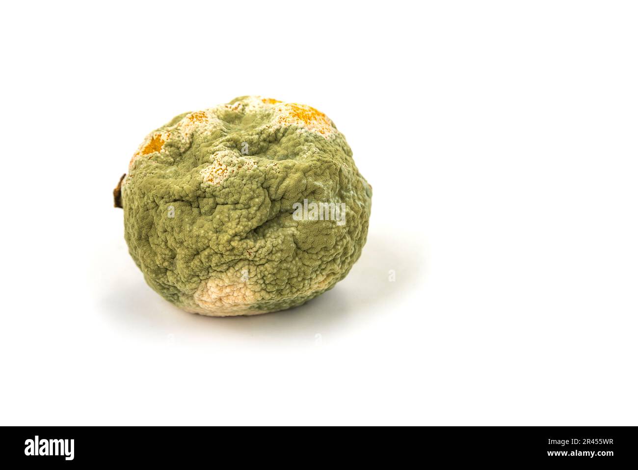 Rotten lemon with a mold on a white background Stock Photo - Alamy