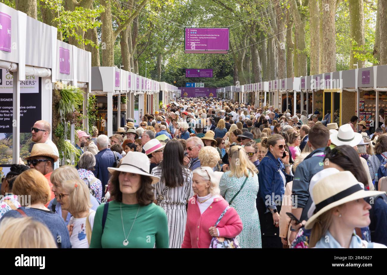 A crowd of visitors on the Chelsea Flower Show Avenue shopping at the ...