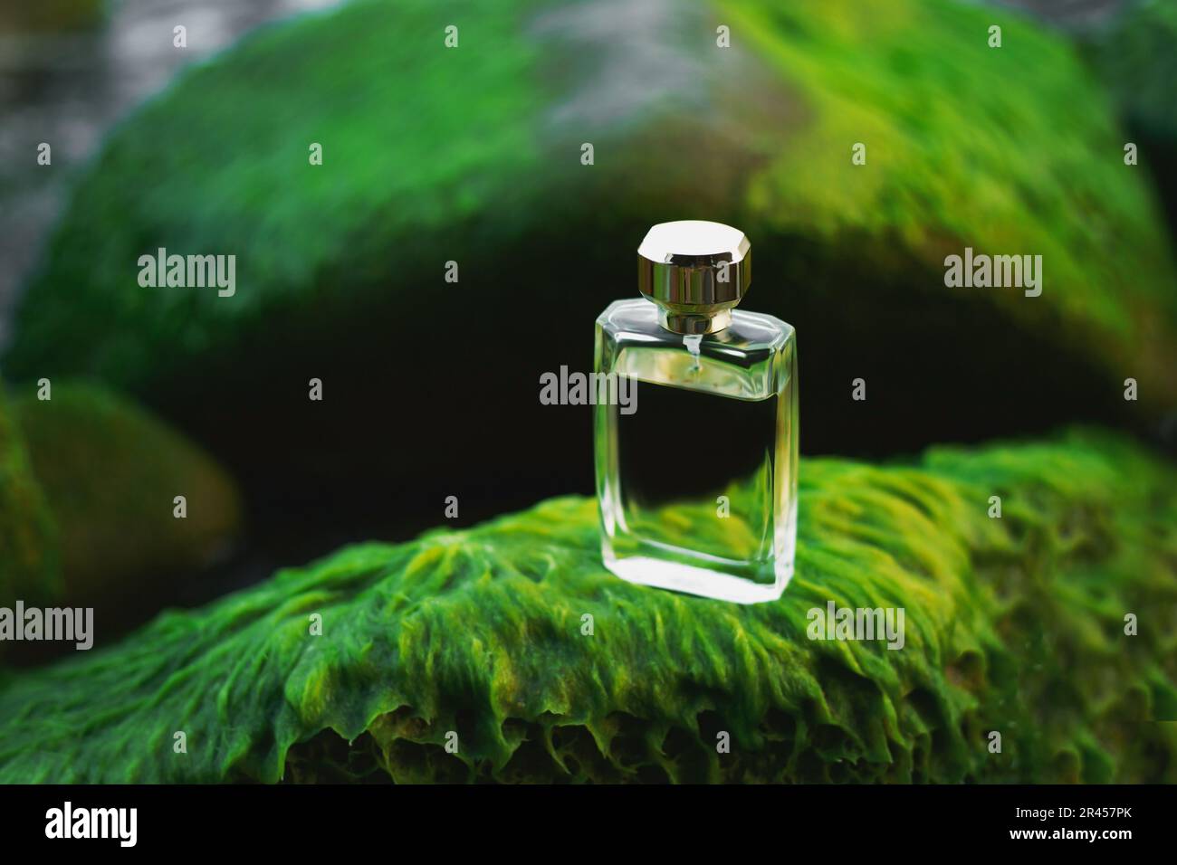Perfume bottle on nature background Stock Photo - Alamy