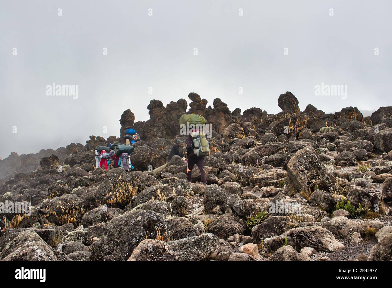 December 26th, 2017, Kilimanjaro, Tanzania-African Chaga tribe porters ...