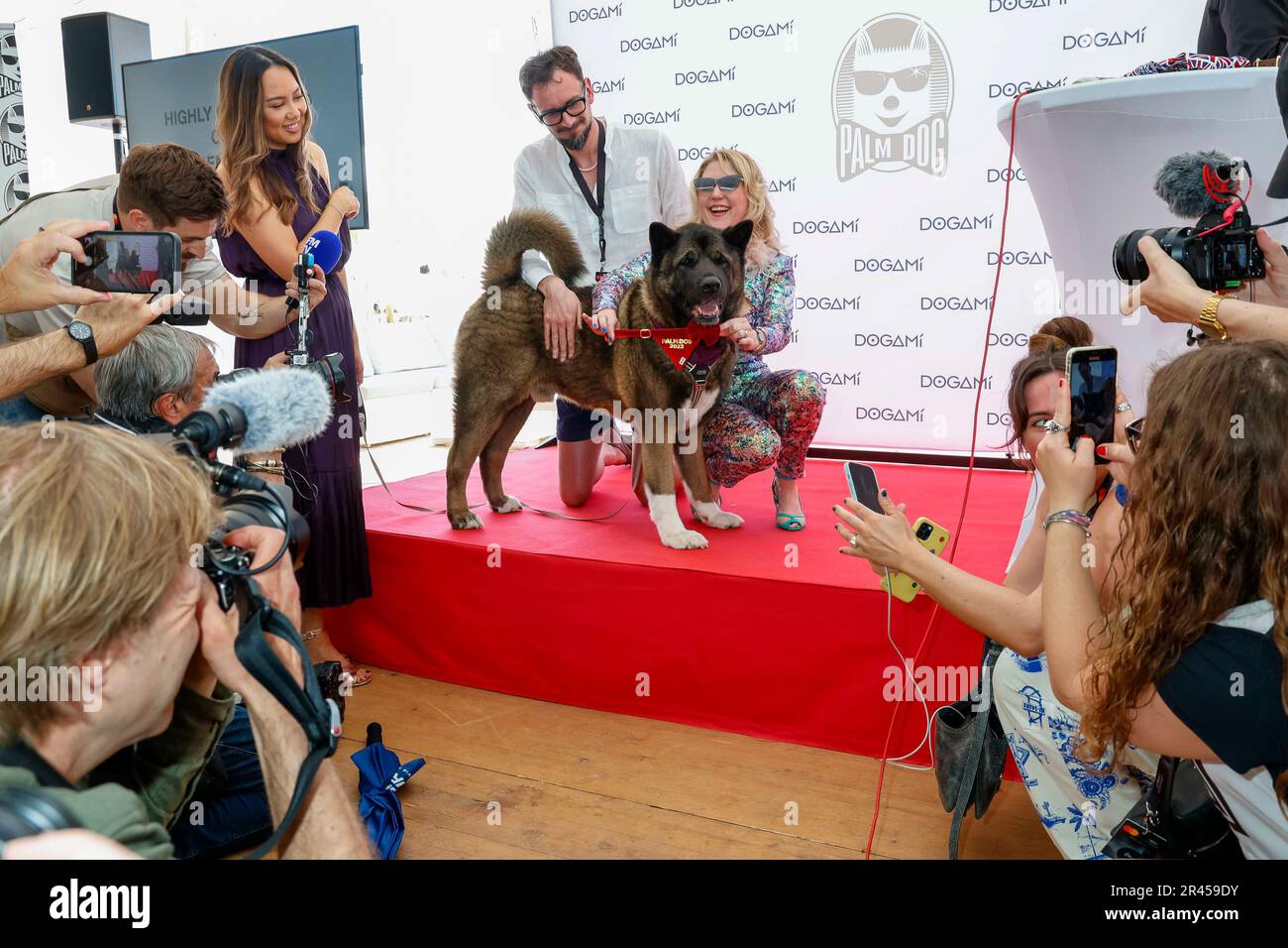 Participants at the 'Palm Dog Award' during the 76th Cannes Film ...
