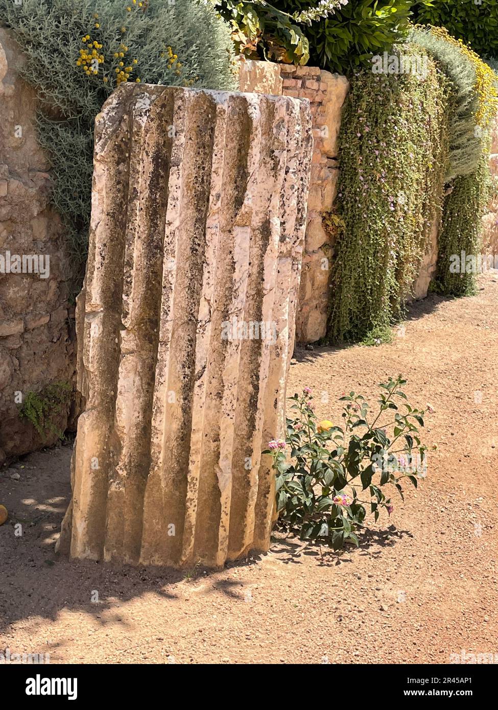 Castle behind the bushes hi-res stock photography and images - Alamy