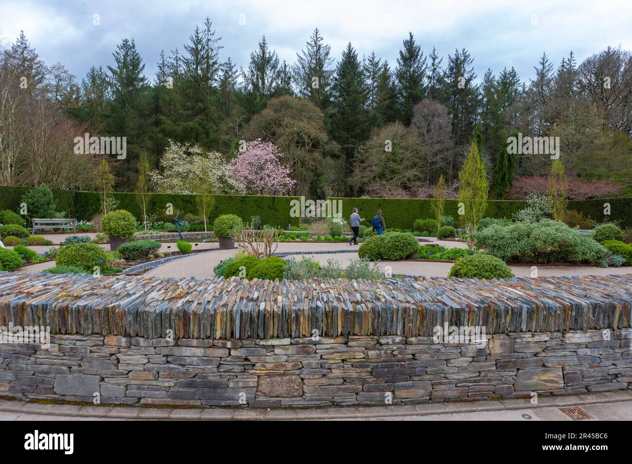 The Cool Garden, RHS Rosemoor, Devon, UK Stock Photo - Alamy