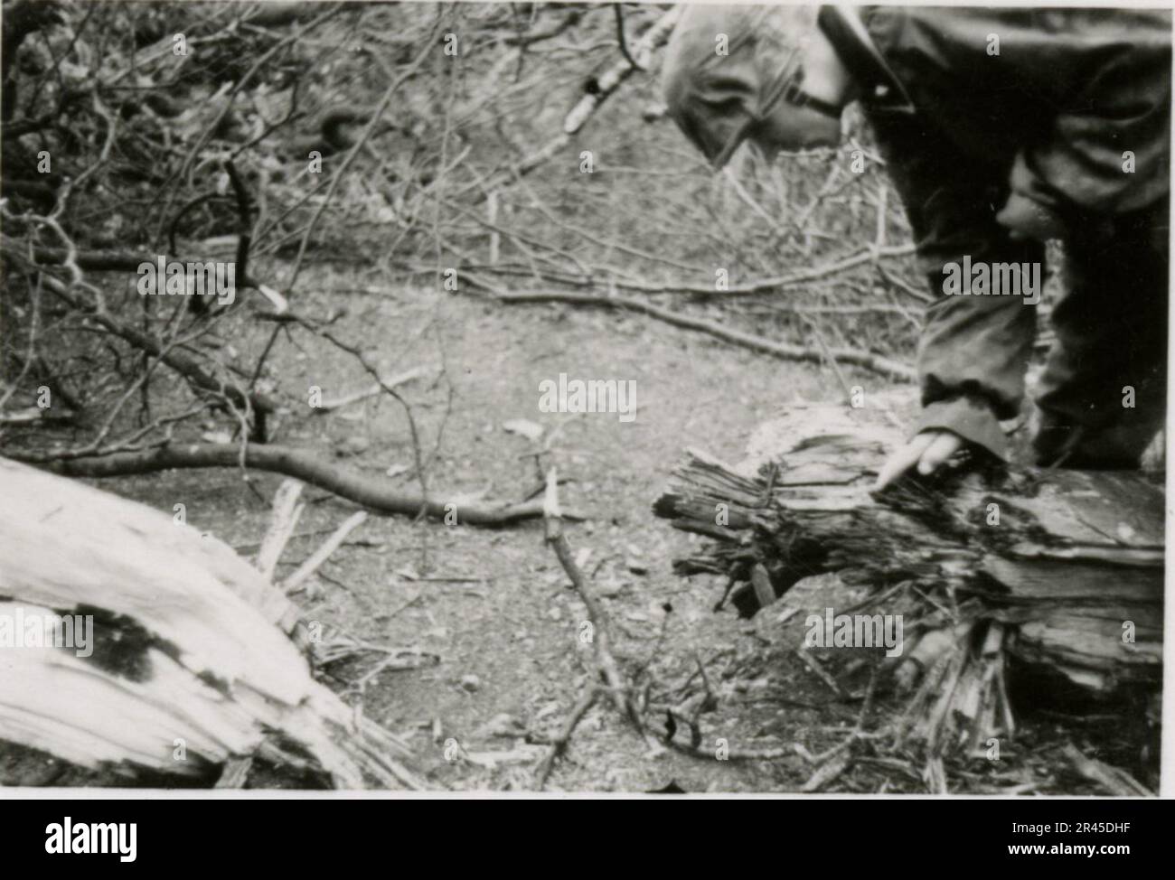 Augustin, Paul, SS photographer of the Leibstandarte Adolf Hitler ...