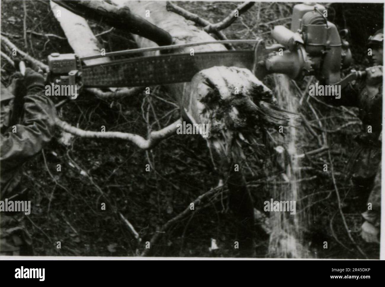 Augustin, Paul, SS photographer of the Leibstandarte Adolf Hitler ...